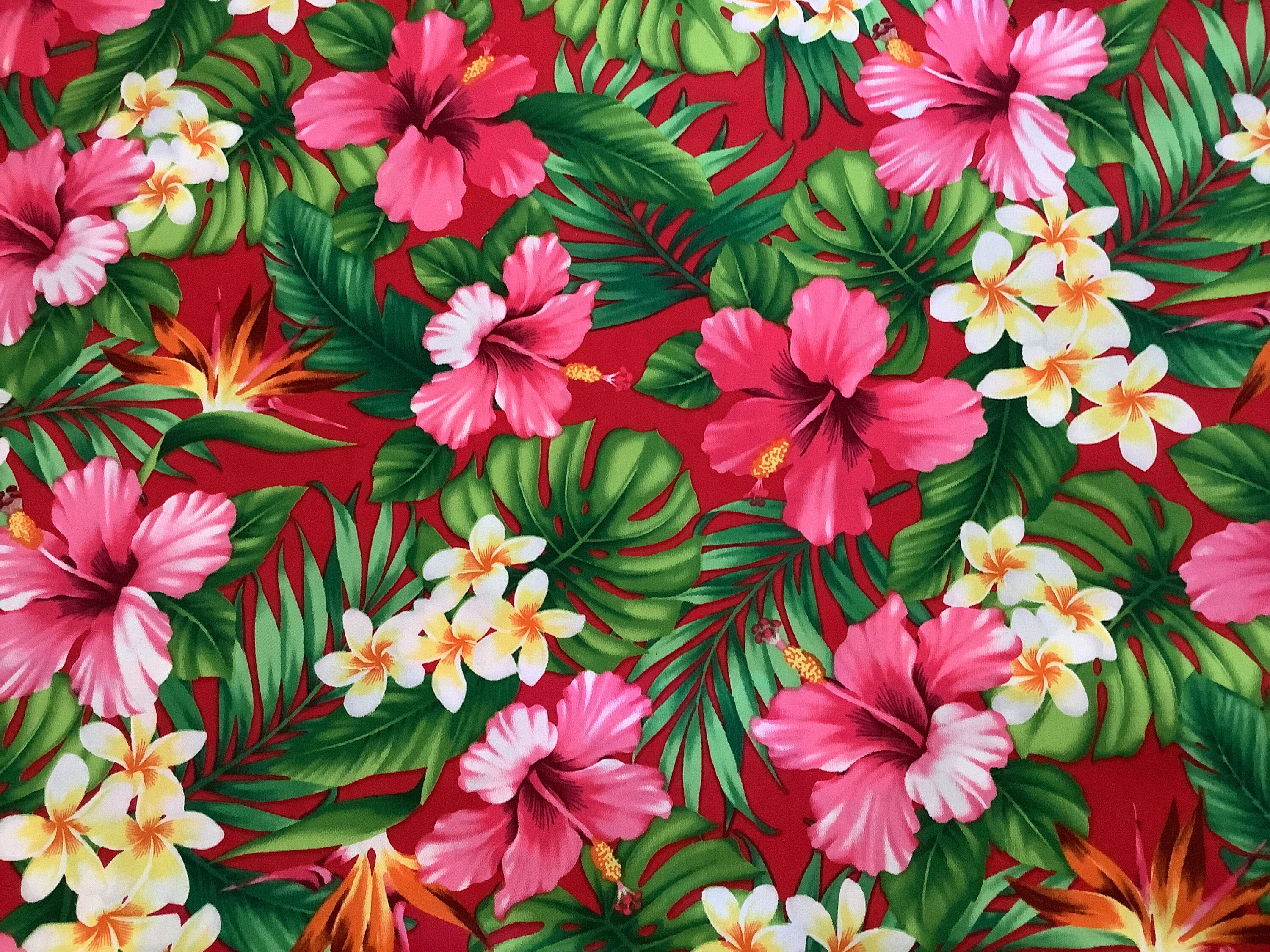 Red With Pink Hibiscus Dog Harnesses and Harness Dresses for Your Pet ...