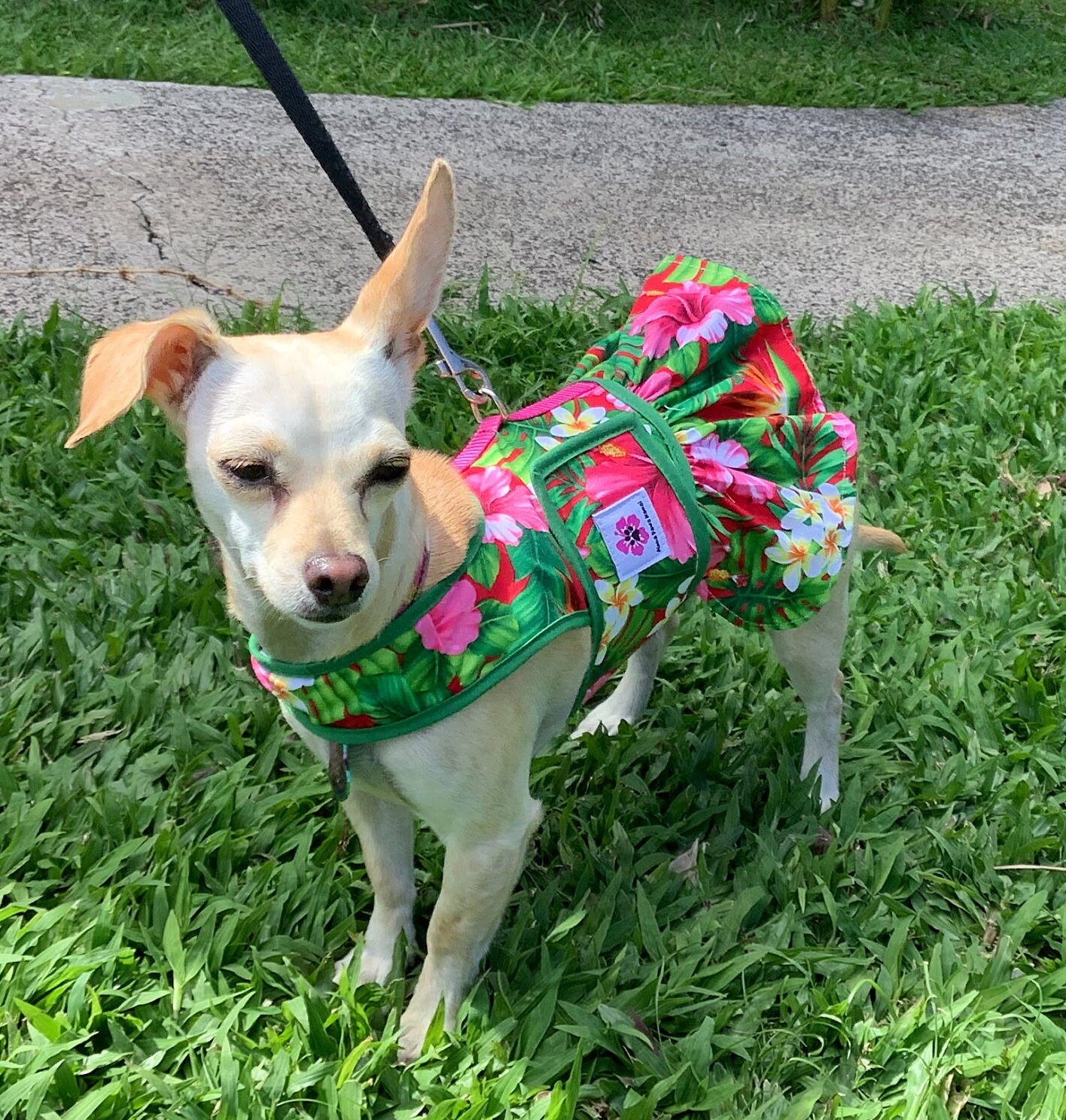 Red With Pink Hibiscus Dog Harnesses and Harness Dresses for Your Pet ...
