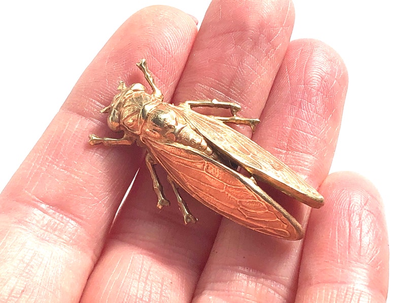 Gorgeous Vintage Cicada Brooch With Original 1960s Brass - Etsy