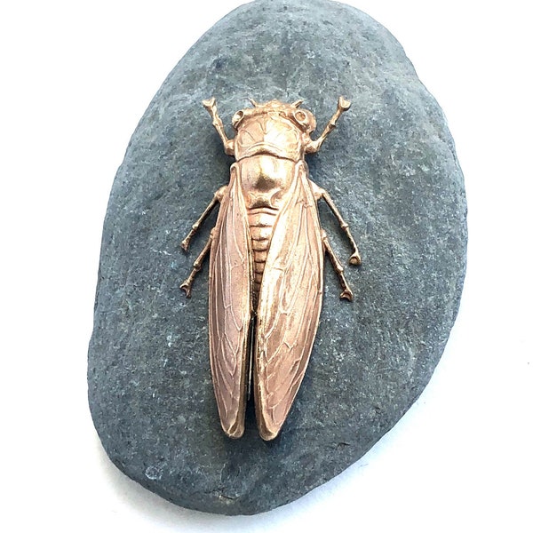 Cicada Brooch - Etsy