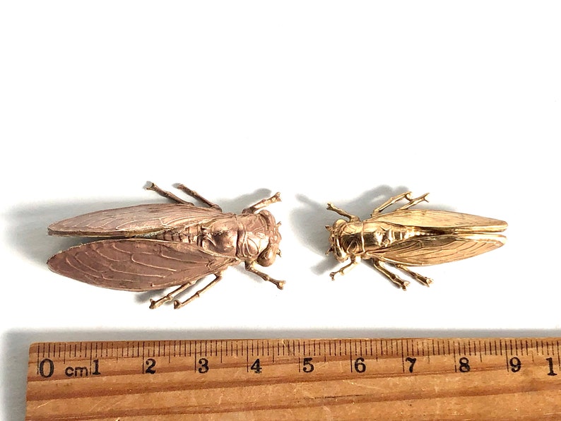 Gorgeous Vintage Cicada Brooch with Original 1920s Brass | Etsy