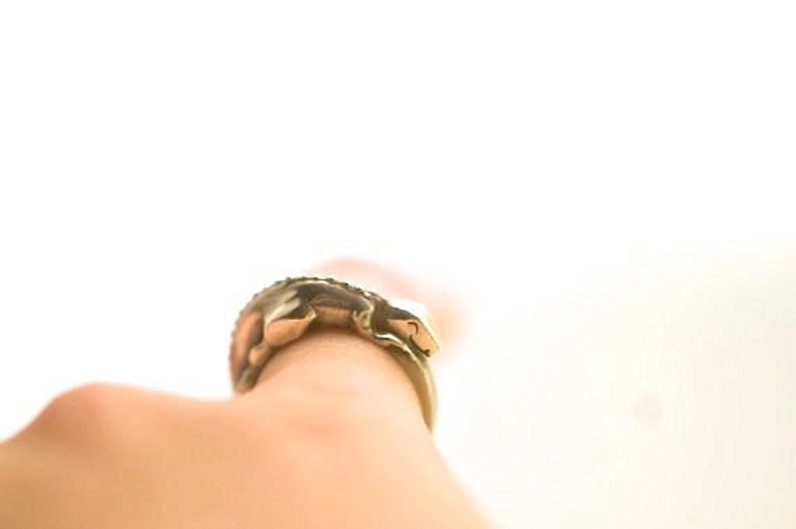 Tyrannosaurus Rex Ring - Etsy
