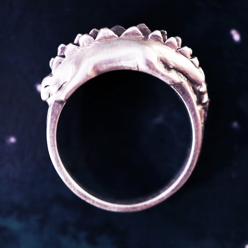 Dinosaur Ring - Etsy