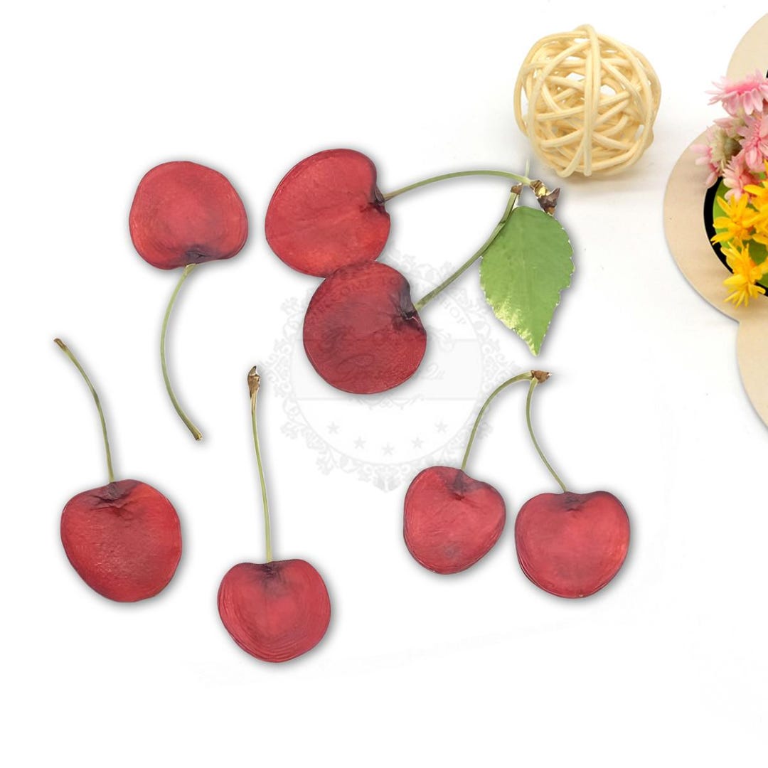 5pcs Cherry Fruit, Fruits Specimen, Pressed Flowers, Dried Flowers, Dry ...