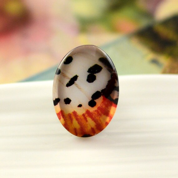 8pcs 10x14mm13x18mm 4pcs 18x25mm 2pcs 20x30mm30x40mm | Etsy