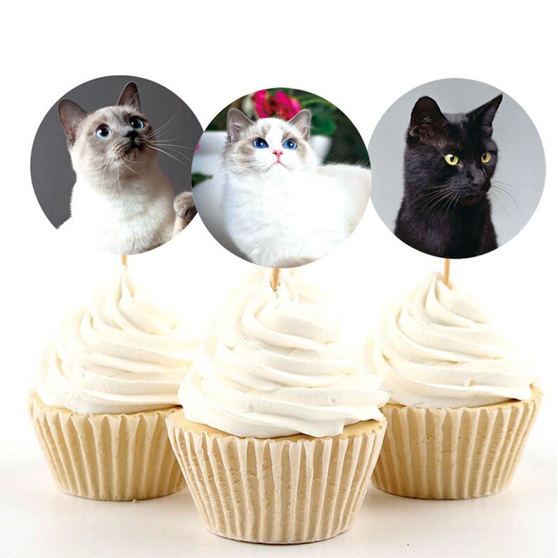 500pcs 1 Cute Cat Stickers 8 Style Kitten Labels - Etsy