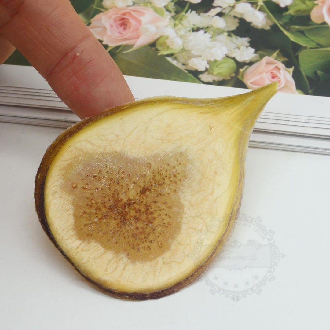 5pcs Fruits Specimen, Pressed Flowers, Dried Flowers, Dry Flowers ...