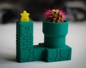 Super Mario Warp Pipe Planter