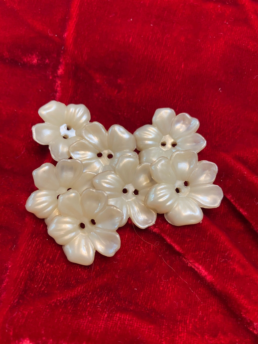 Seven Pearlescent Plastic Champagne Colored Floral Buttons - Two Holes ...