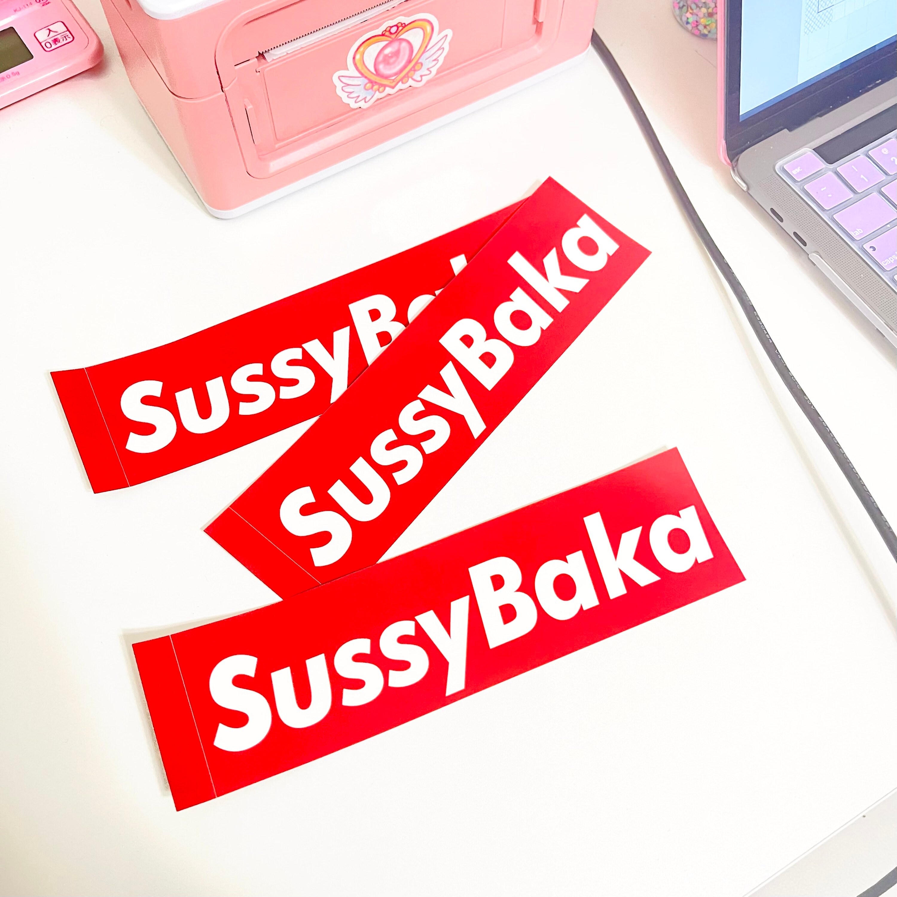 Anime Bumper Sticker | Box Logo Red Sticker | Humor Meme | Car Decal ...