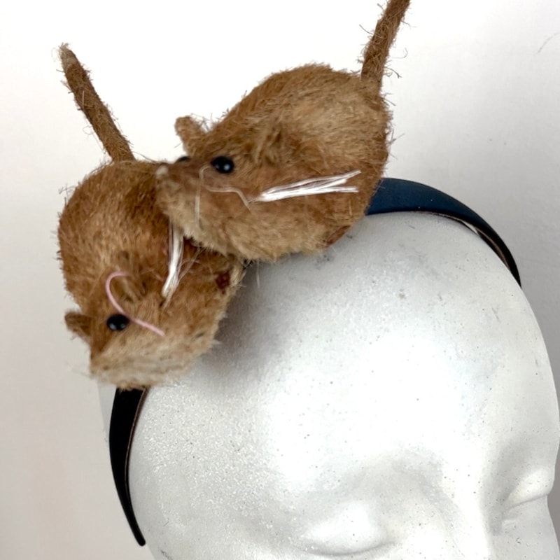 Rat Costume - Etsy