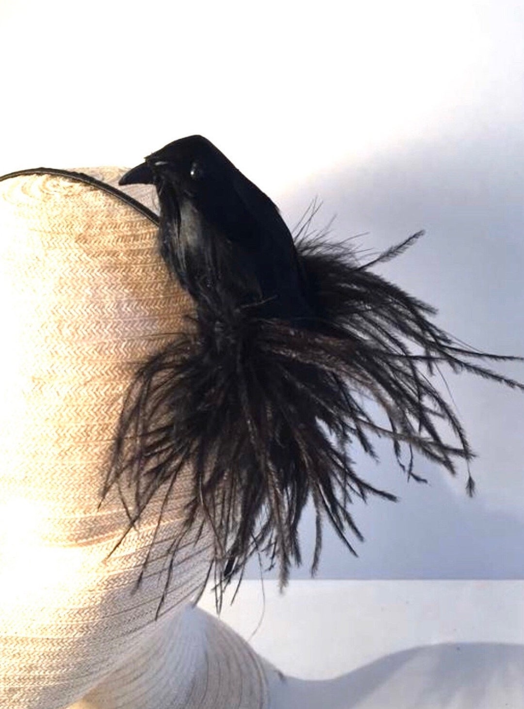 Fascinators- Crow- Raven Bird Headband- Bird Lover - Etsy