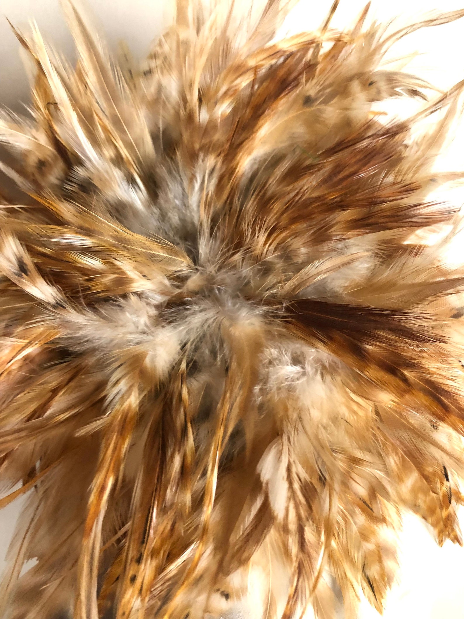 Fun Fascinator- Rust Feather Headband -derby Fascinator - Etsy