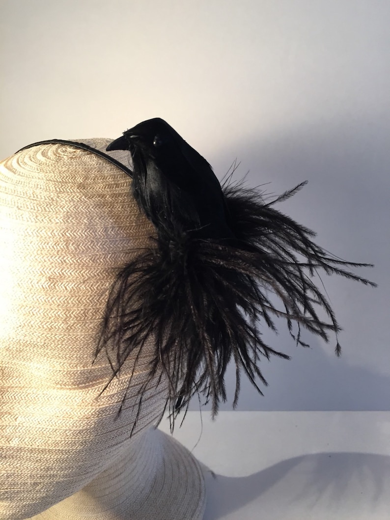 Fascinators- Crow- Raven Bird Headband- Bird Lover - Etsy