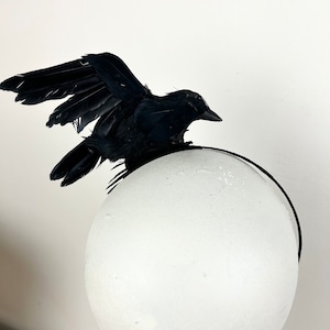 Black Fascinators- Crow Costume -raven Bird Headband- Halloween - Etsy