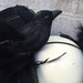 Moira Costume- Crow Headband- Bird Fascinator - Etsy