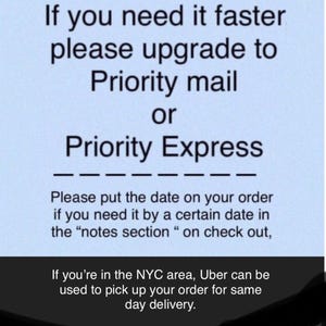 Moira Costume- Crow Headband- Bird Fascinator - Etsy