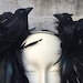 Moira Costume Crow Headband Bird Fascinator - Etsy