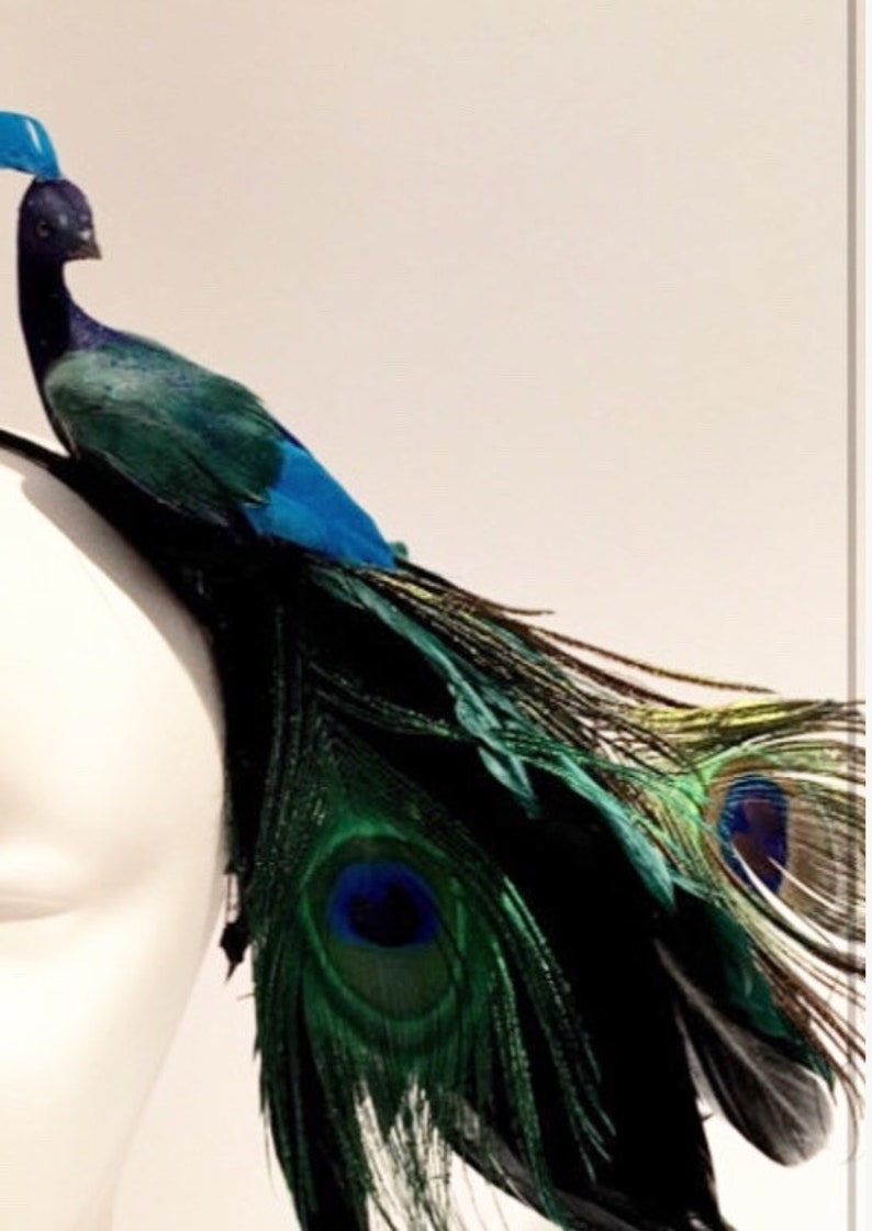 Peacock Fascinator Bird headband Mad Hatter - Etsy