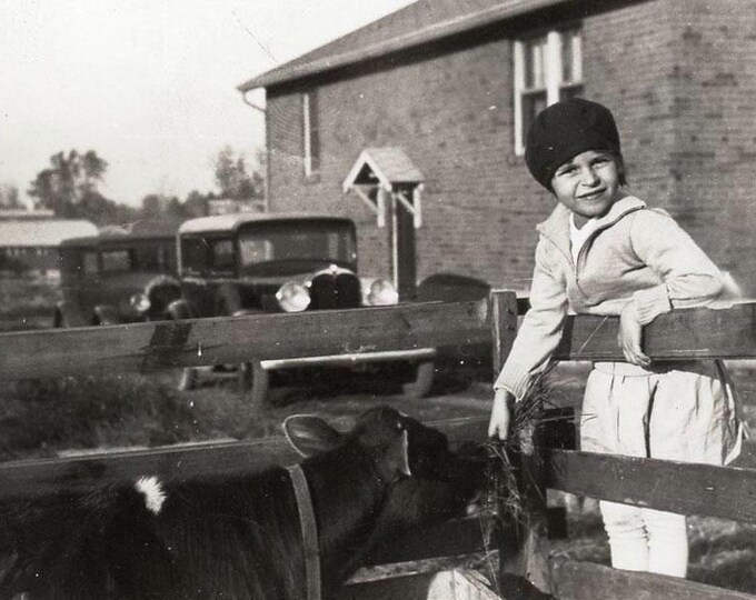 1920s Young Girl Feeding a Cow That is in a Holding Pen, Rural, Farm ...