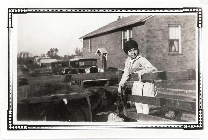 1920s Young Girl Feeding a Cow That is in a Holding Pen, Rural, Farm ...