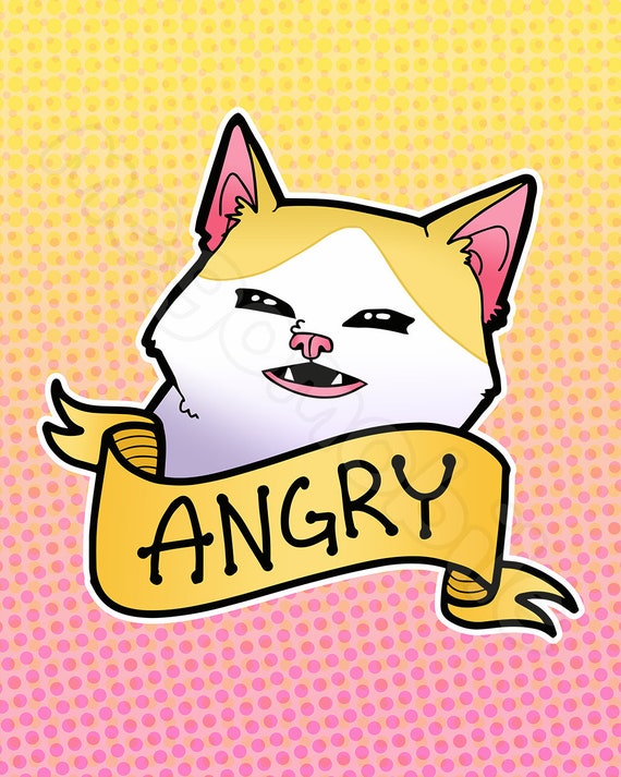 No Angry Cat