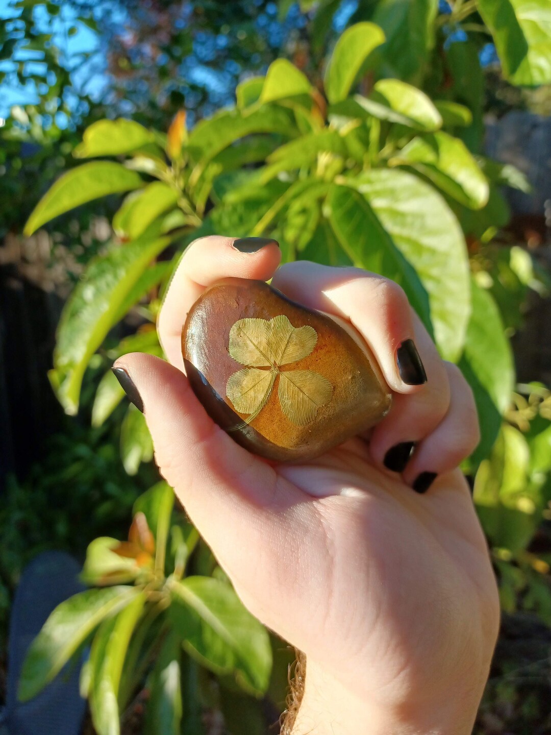 GENUINE! Four-leaf Clover Stone Paperweights - Etsy