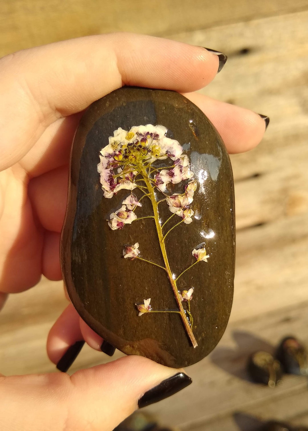 Assorted Pressed Flower Stone Paperweights - Etsy