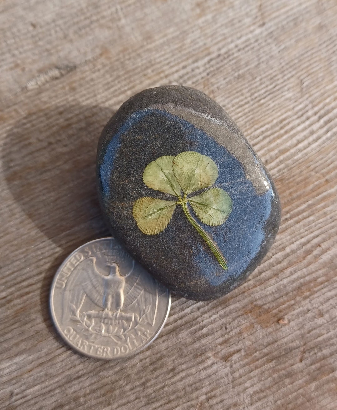 GENUINE Four-leaf Clover Mini Stone Paperweights - Etsy
