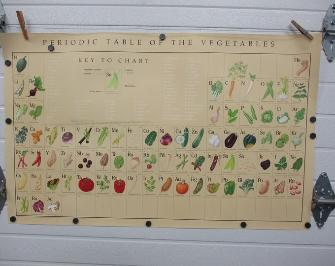 1984 Periodic Table of Vegetables Art Print by Naomi Weissman 39" X 24 ...