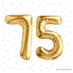 75th Birthday Party Decorations for Women, 75th Birthday Party Supplies ...