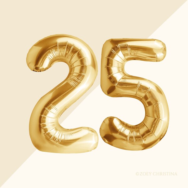 25th Birthday Party Theme - Etsy