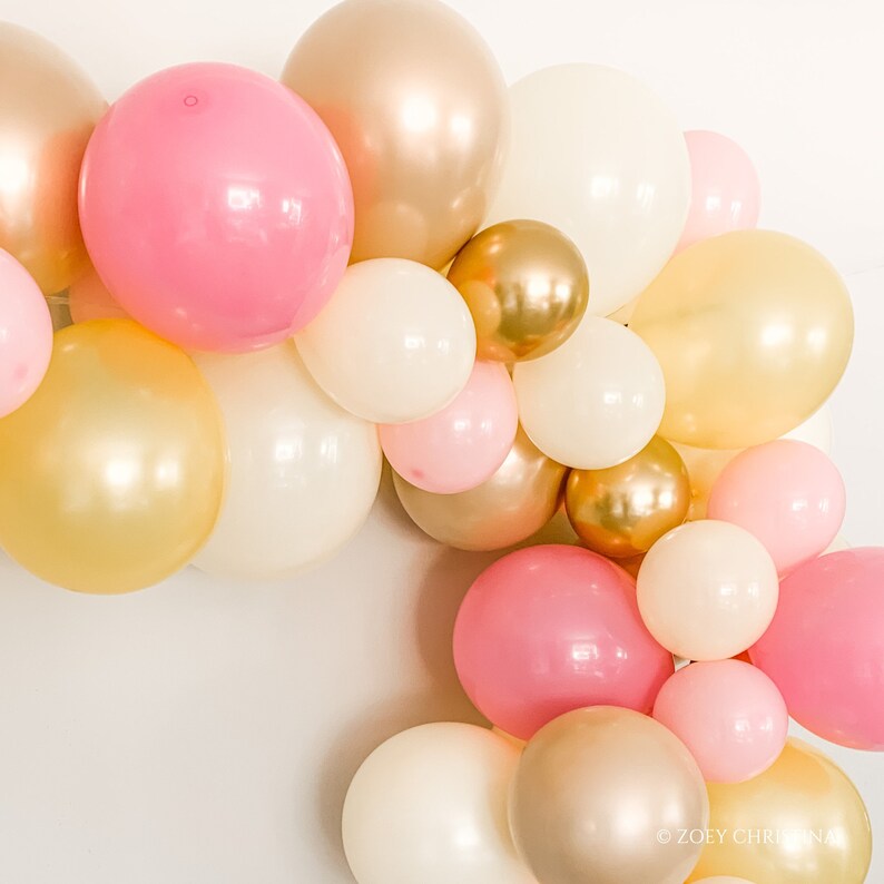 NEW Pink Lemonade Theme She Found Her Main Squeeze Lemon - Etsy