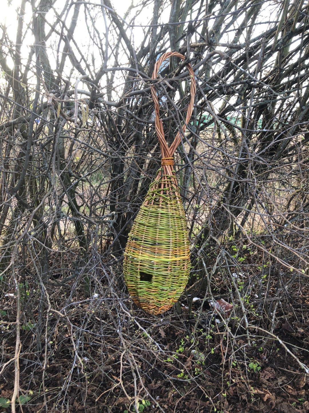 Willow Bird House - Etsy
