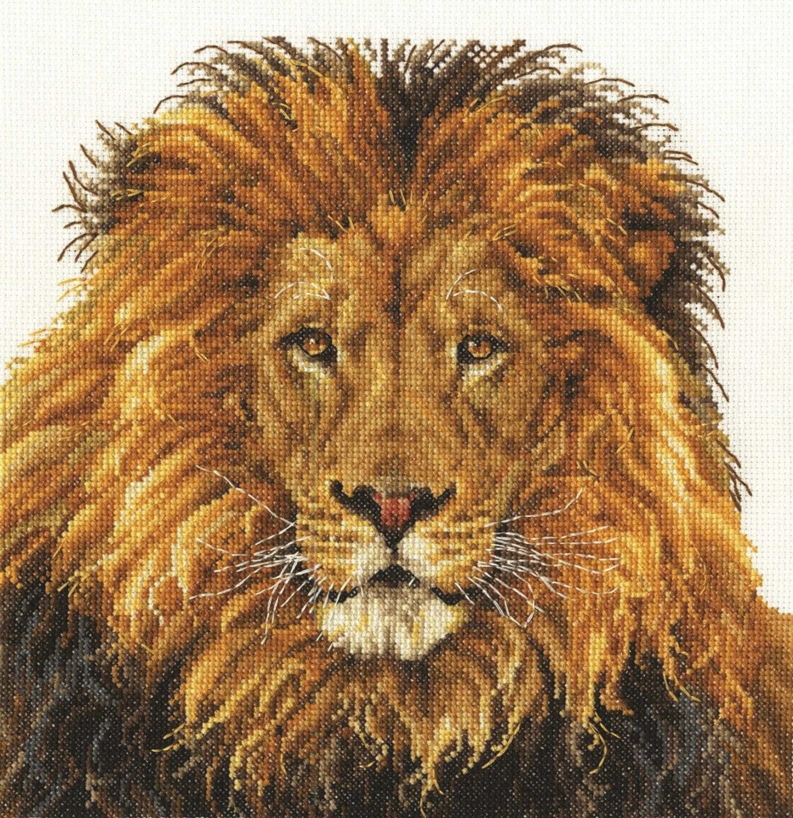 DMC Lions Pride Cross Stitch Kit BK1668 Male Lion Big Cat - Etsy