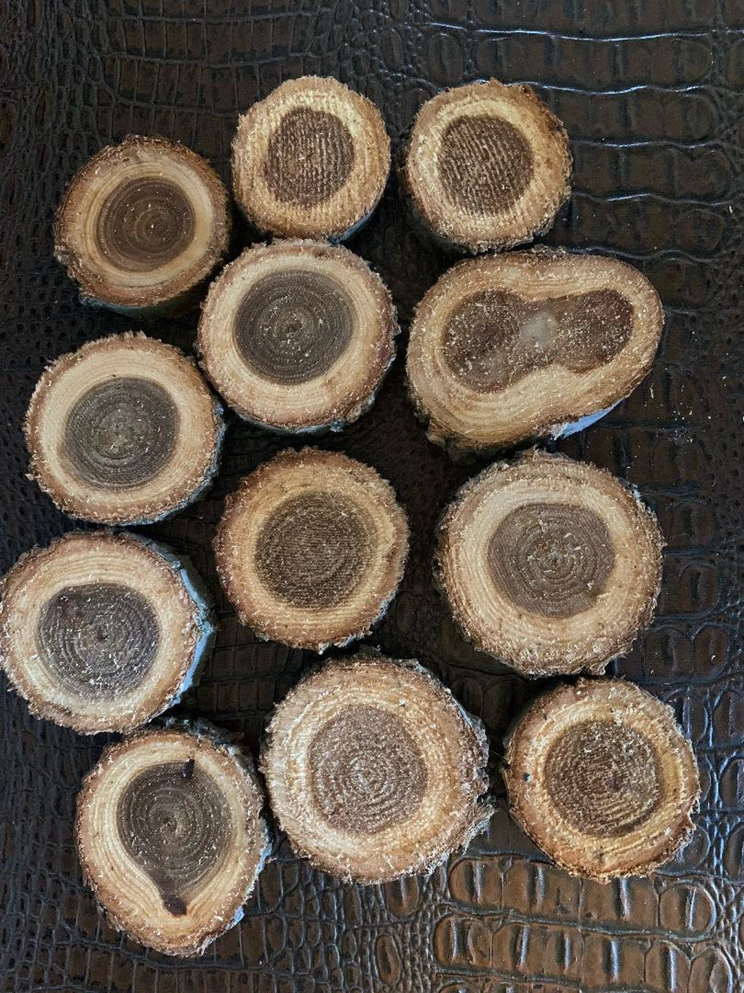 Log Slices Lacebark Elm Wood Pieces With Bark, 2"- 3" Diameter - Etsy