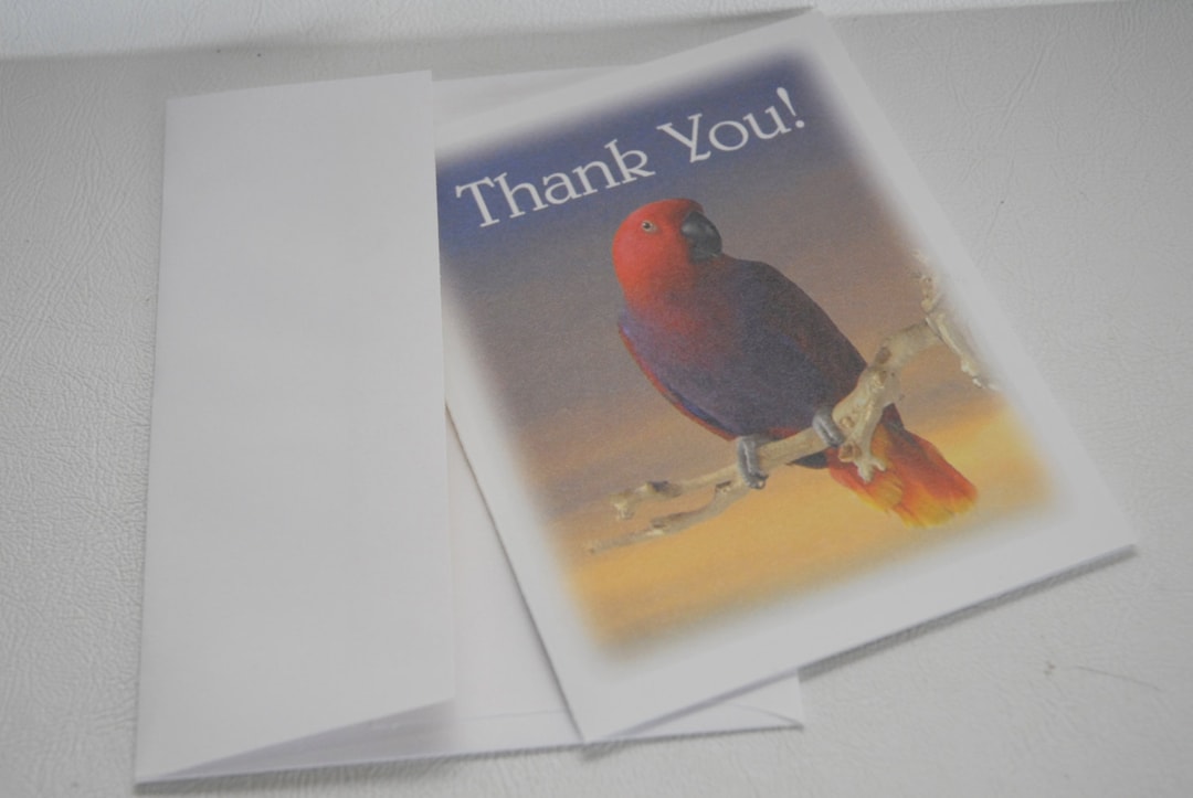 Thank You Cards, Eclectus Parrot Thank You Cards 24 Pack - Etsy