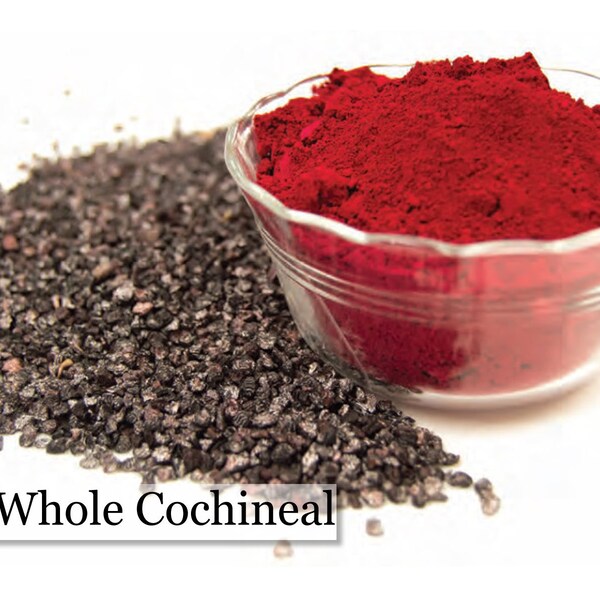 Cochineal Insects - Etsy