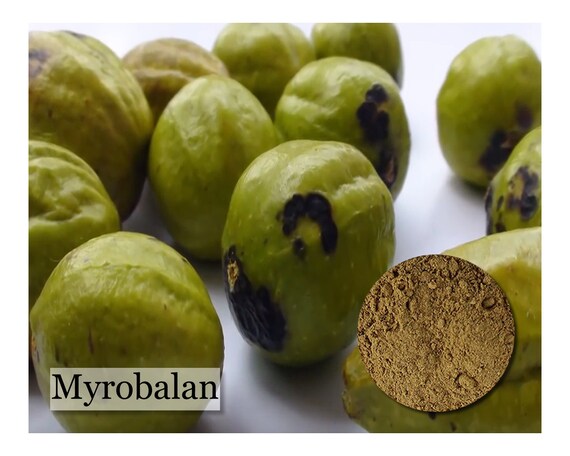 Myrobalan Natural Dye Tannin 2 Oz - Etsy
