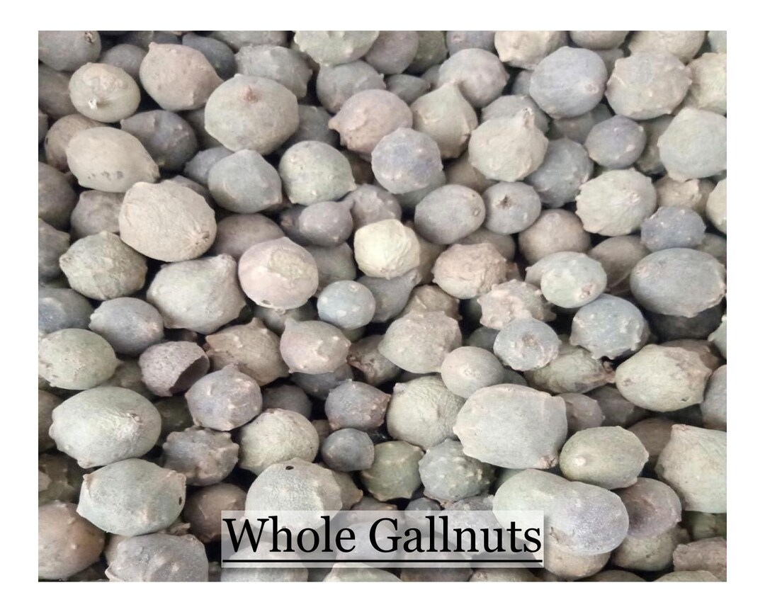 Oak Gall - Whole - Tannin Mordant - Natural Dye - Oakgall - Gallnut - 1 ...