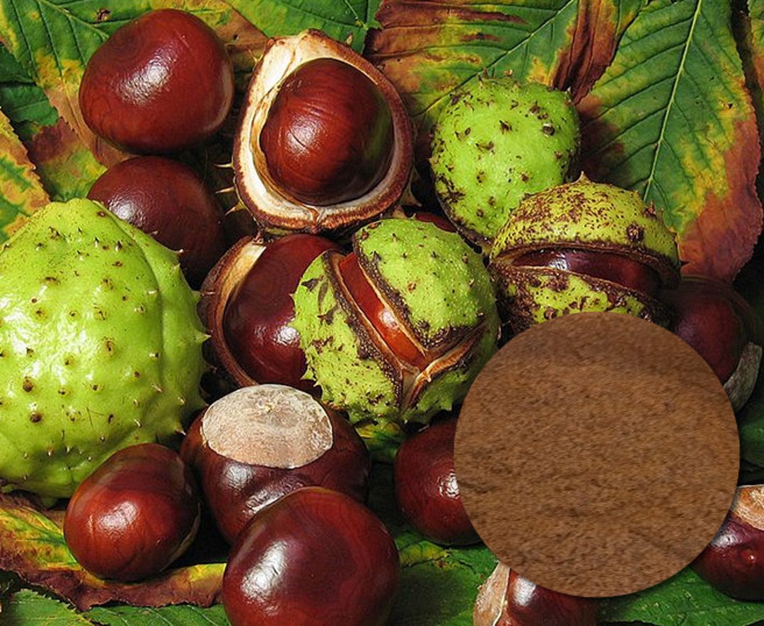 Chestnut Extract 8oz Natural Dye Natural Tannin - Etsy Italia