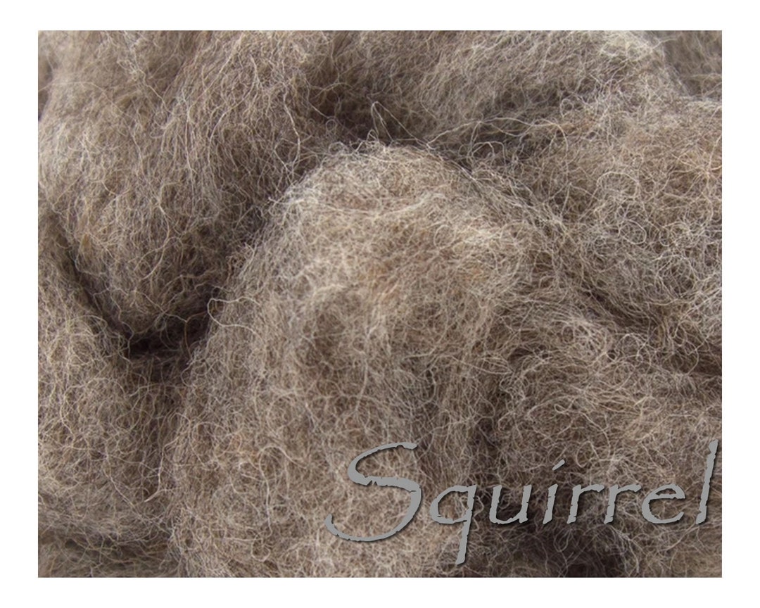 The Squirrel Corriedale Wool From Our Woodland Series. Great for Needle ...