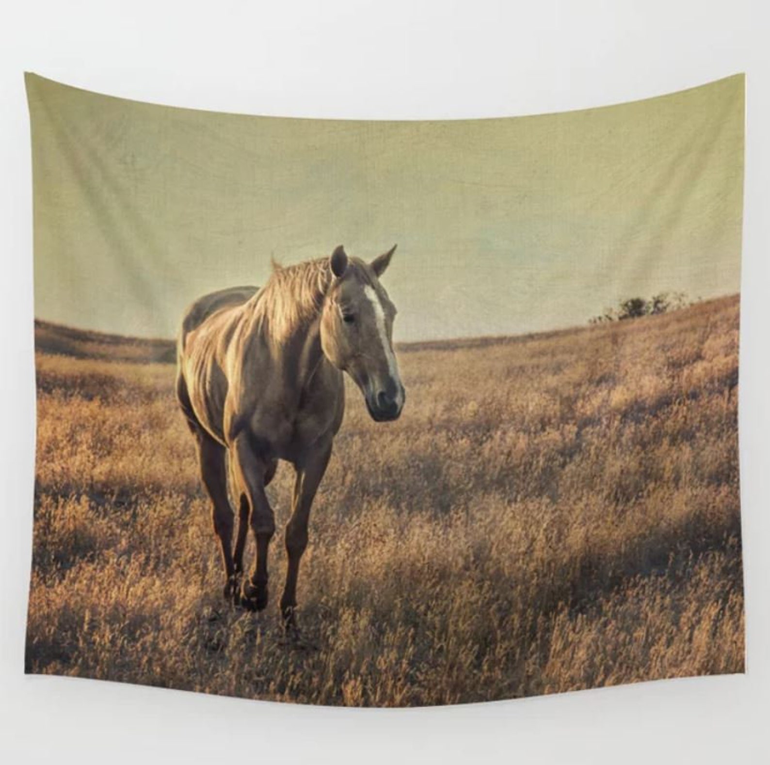 Horse Photography Equine Art Rustic Home Decor Horse | Etsy