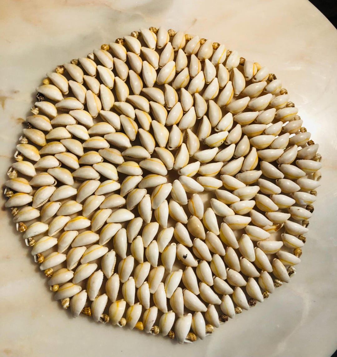 SEASHELL TRIVET. Vintage Cowrie Shell Trivet From FLORIDA, 70s Item ...