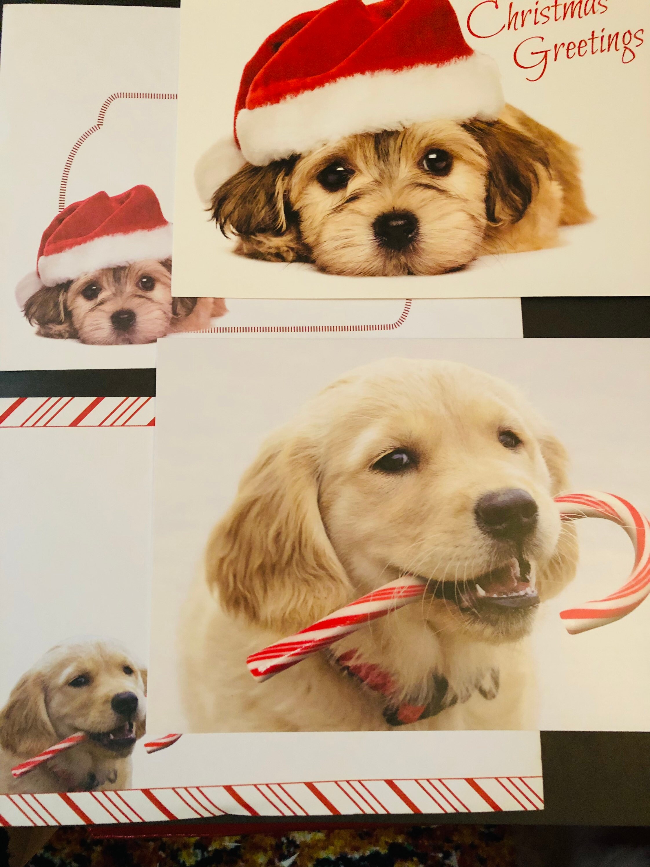 Vintage Christmas Cards Dogs
