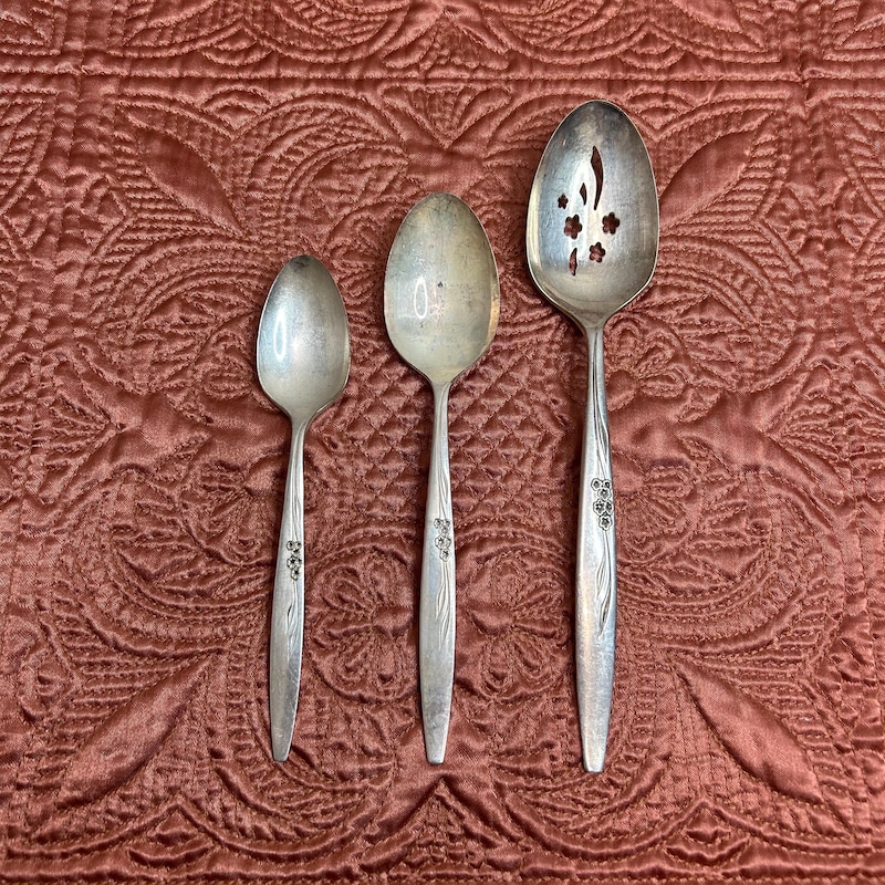 Oneida Enchantment Spoons - Etsy