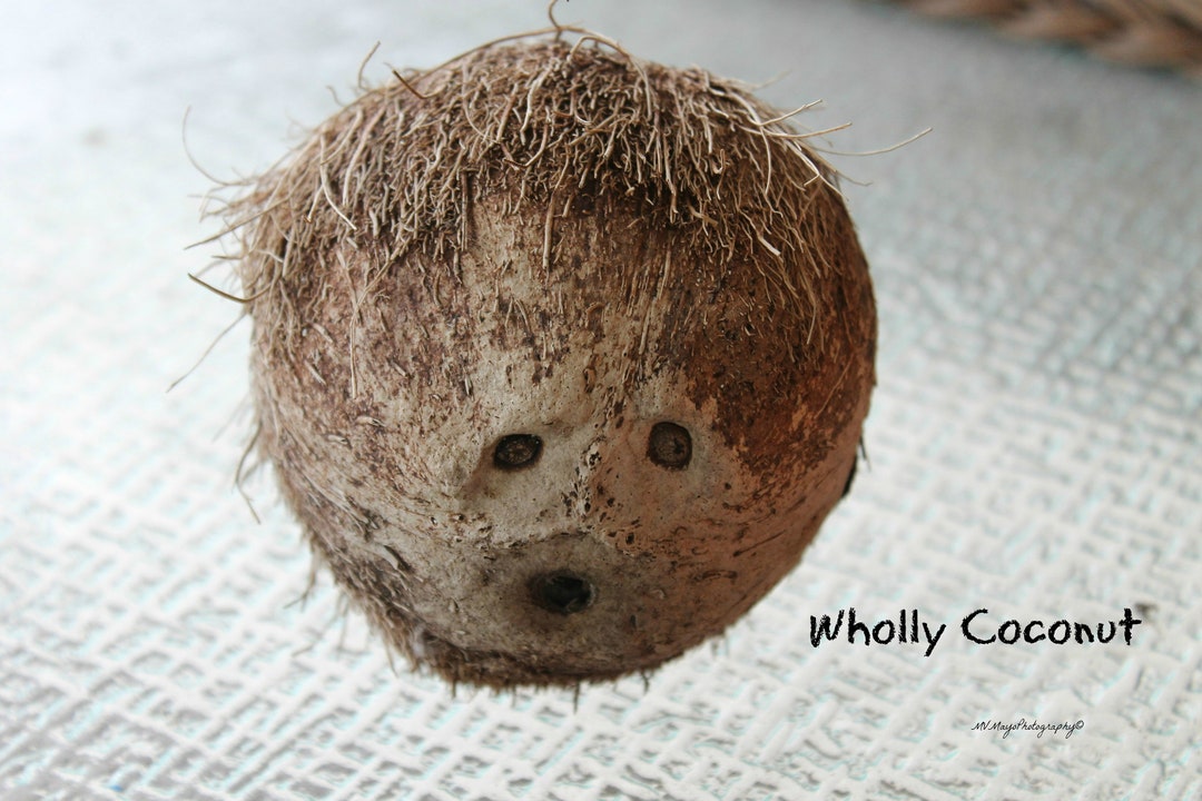 Funny Coconut Card, Anniversary Card, Birthday Card, Free US Shipping ...