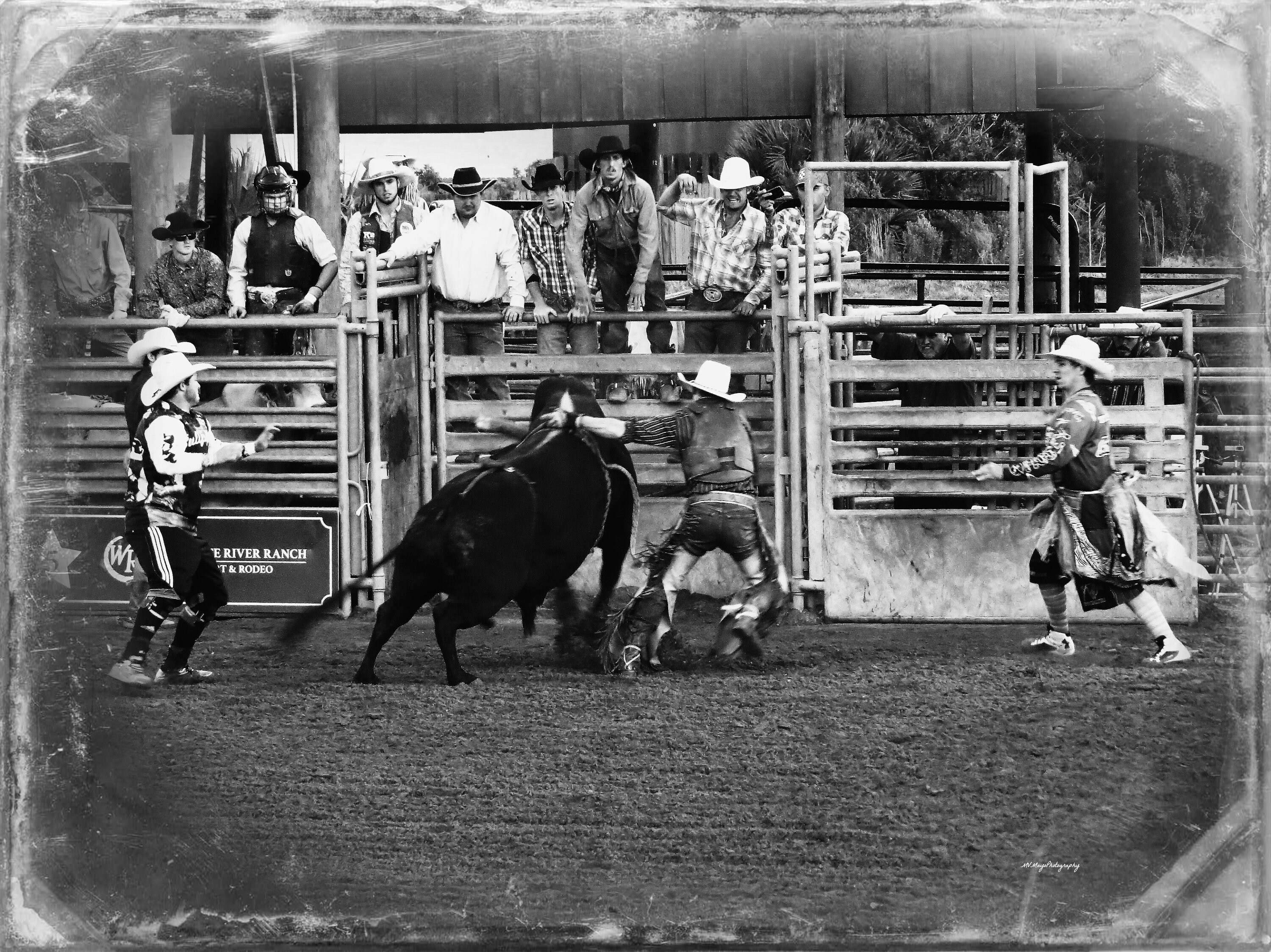 Black and White Vintage Look Photo Rodeo Photo Daguerratype - Etsy