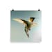 Hummingbird #2 Print (square) - Etsy