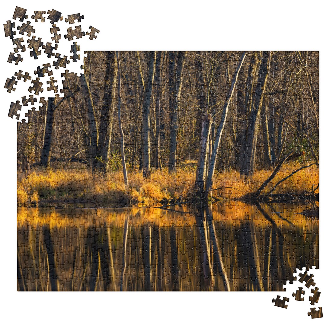 Fall Colors PUZZLE - Etsy